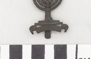 FusilierMuseumLondon | badges